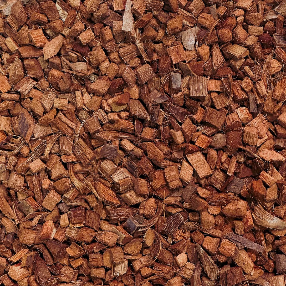 Plant Haven Supply Coco Husk Chips | Chunky Coconut Substrate for ...